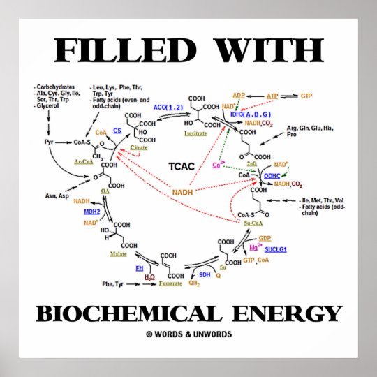 Powered By Biochemistry (Krebs Cycle) Poster | Zazzle.com