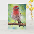 Finch, Greeting Card | Zazzle