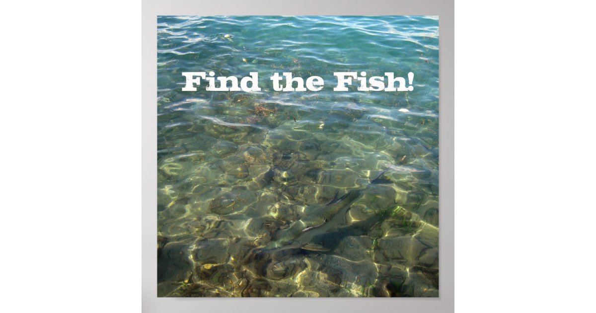Find the Fish! Poster | Zazzle