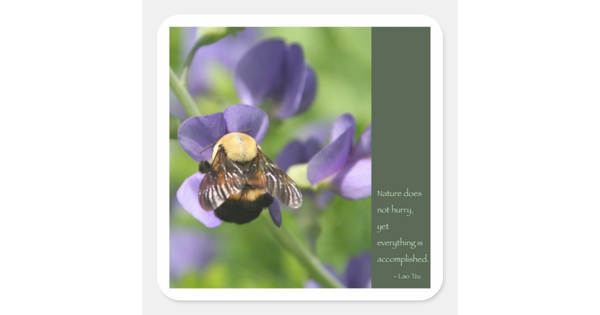 Fine Art with Words of Wisdom Square Sticker | Zazzle