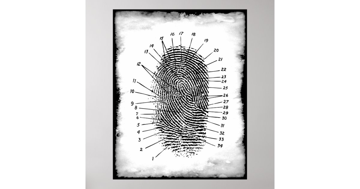 FINGERPRINT FORENSICS POSTER | Zazzle
