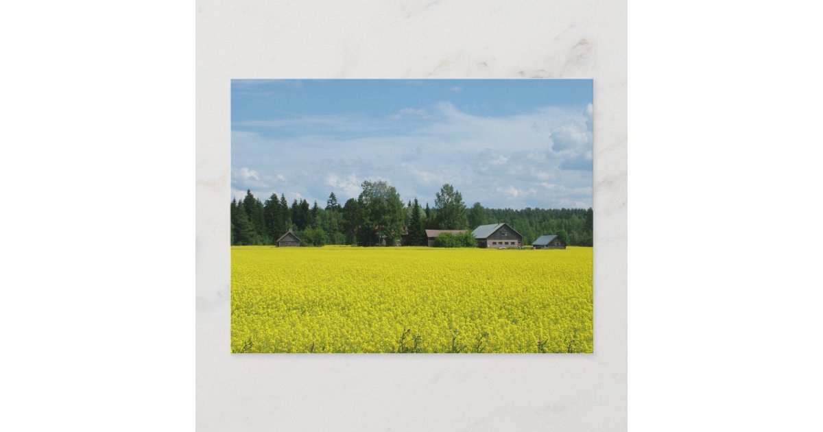Finnish Countryside postcard | Zazzle