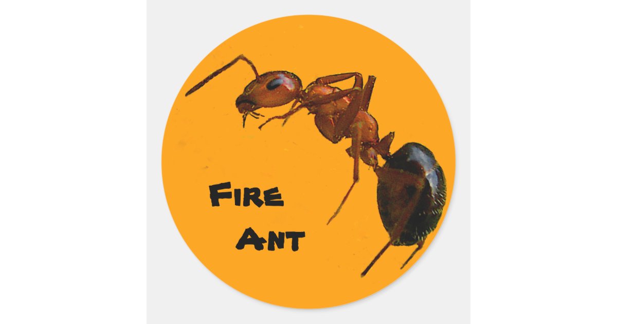 Fire Ant Classic Round Sticker | Zazzle