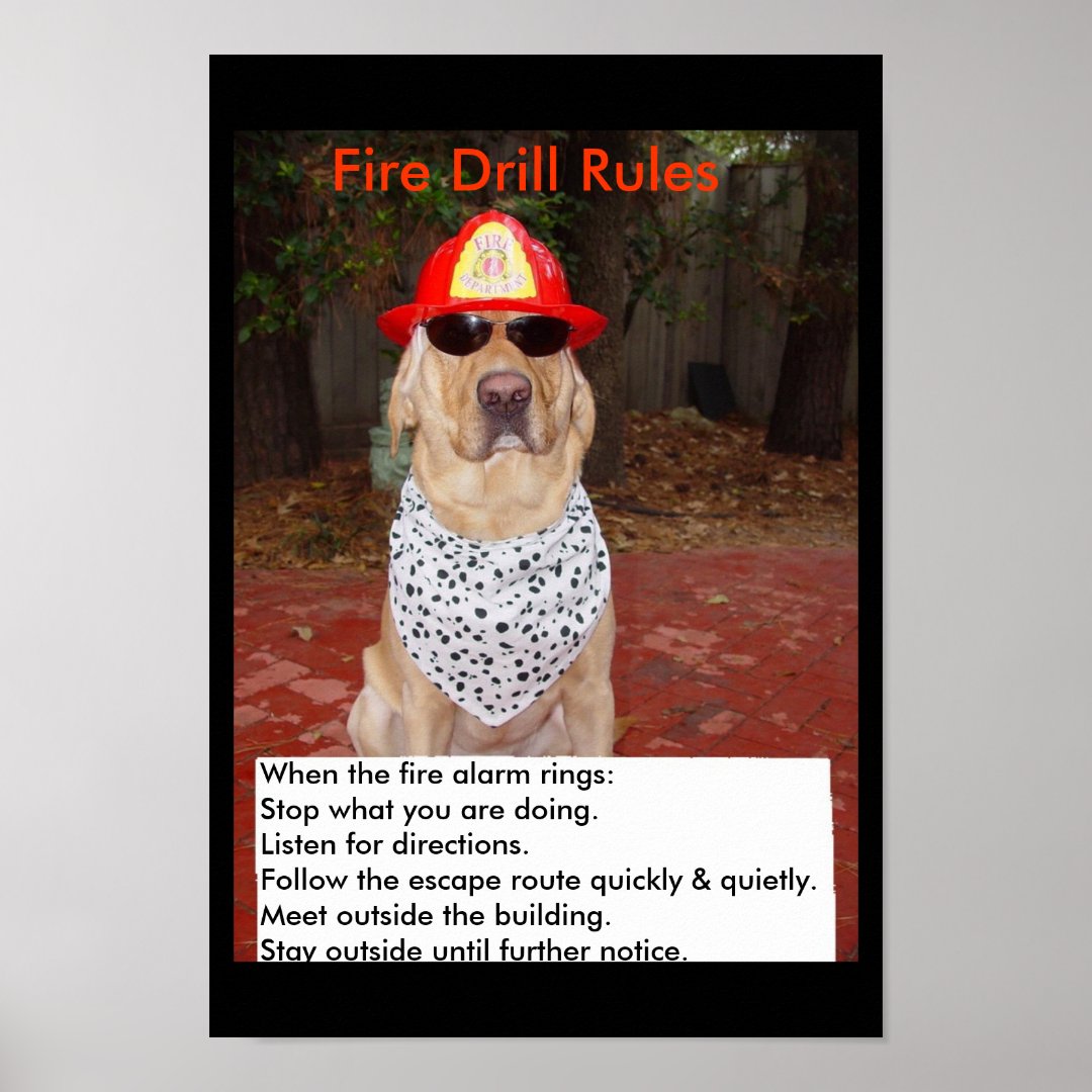 Fire Drill Poster | Zazzle