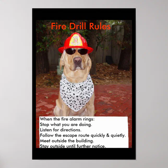 Fire Drill Poster | Zazzle