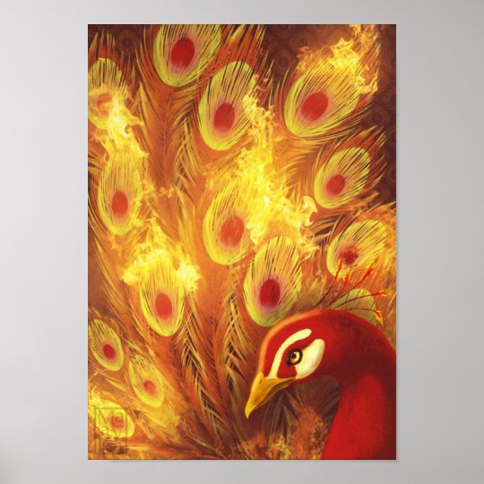 Fire peacock poster | Zazzle.com