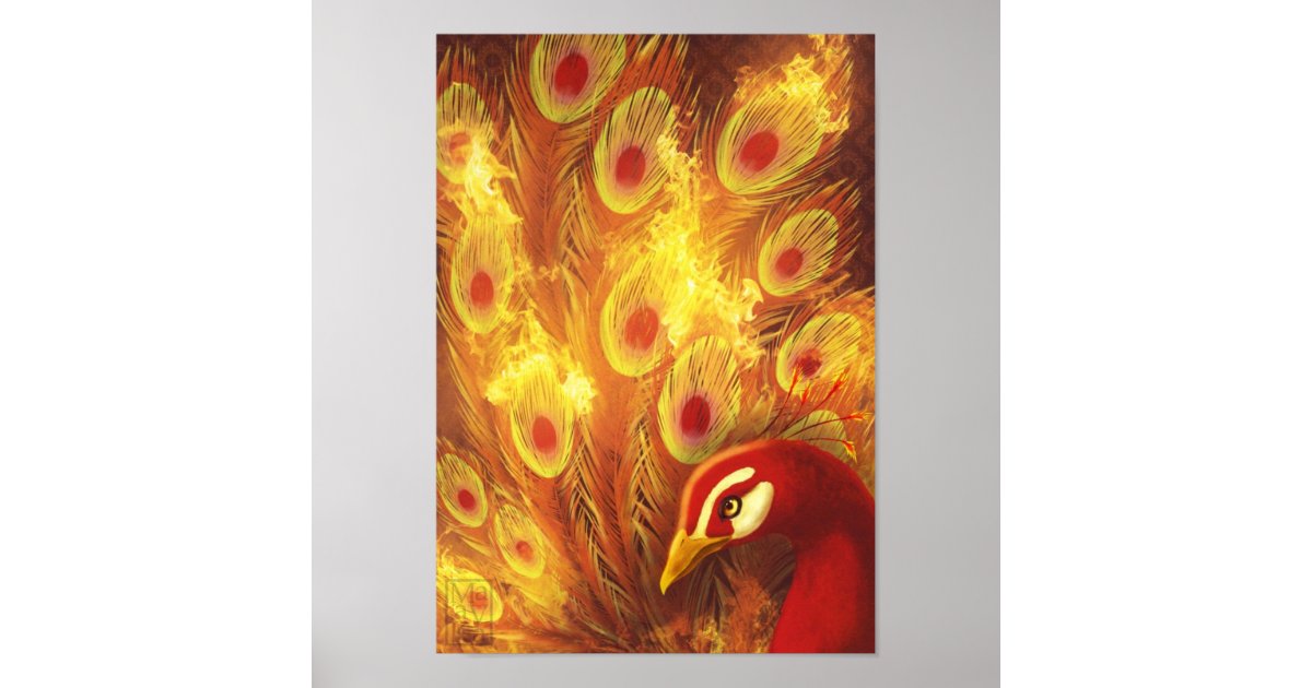 Fire peacock poster | Zazzle
