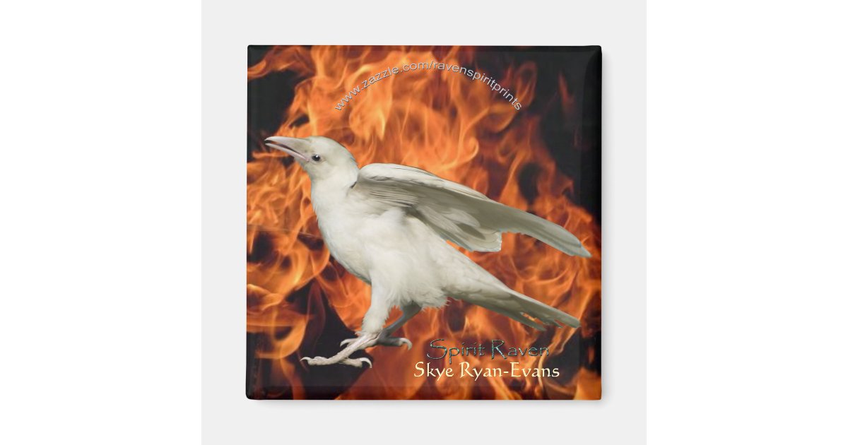 FIRE RAVEN Magnet | Zazzle