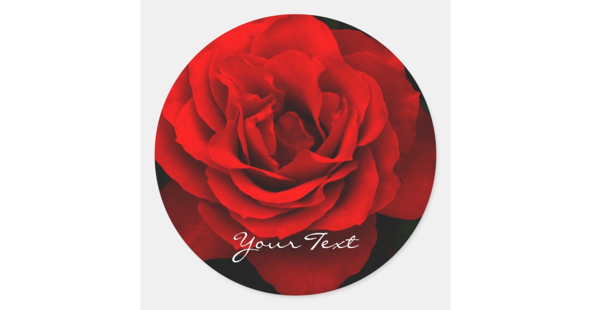 Fire Red Rose Round Stickers (sheet of 20) | Zazzle