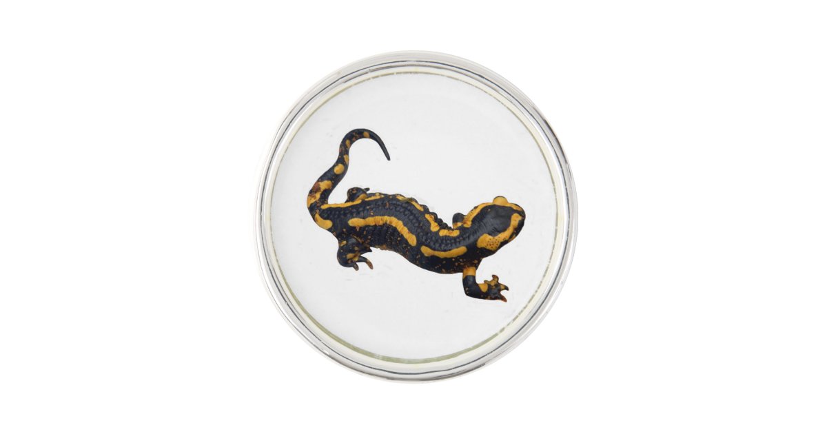 Fire Salamander Round Lapel Pin | Zazzle