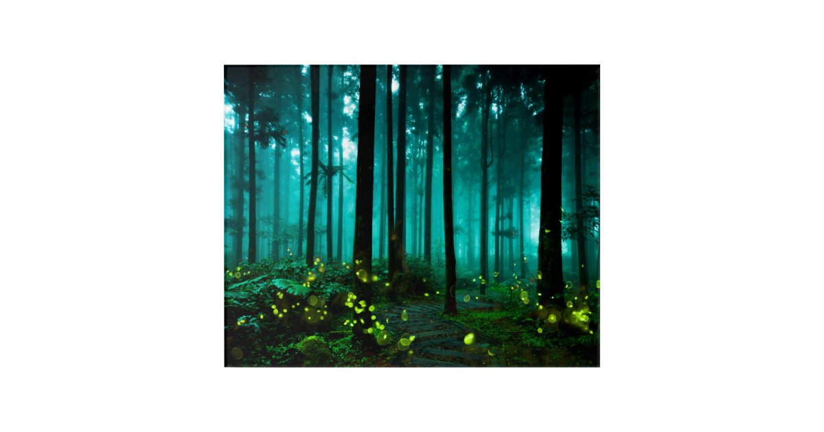 Firefly Acrylic Print | Zazzle