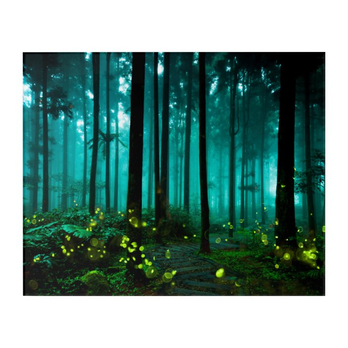 Firefly Acrylic Print | Zazzle.com