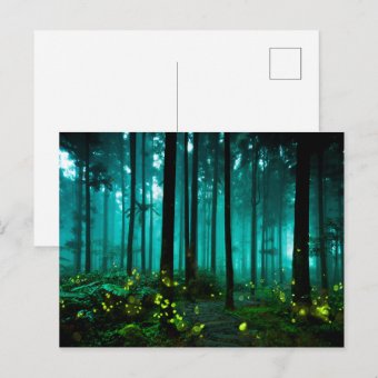 Firefly Postcard | Zazzle