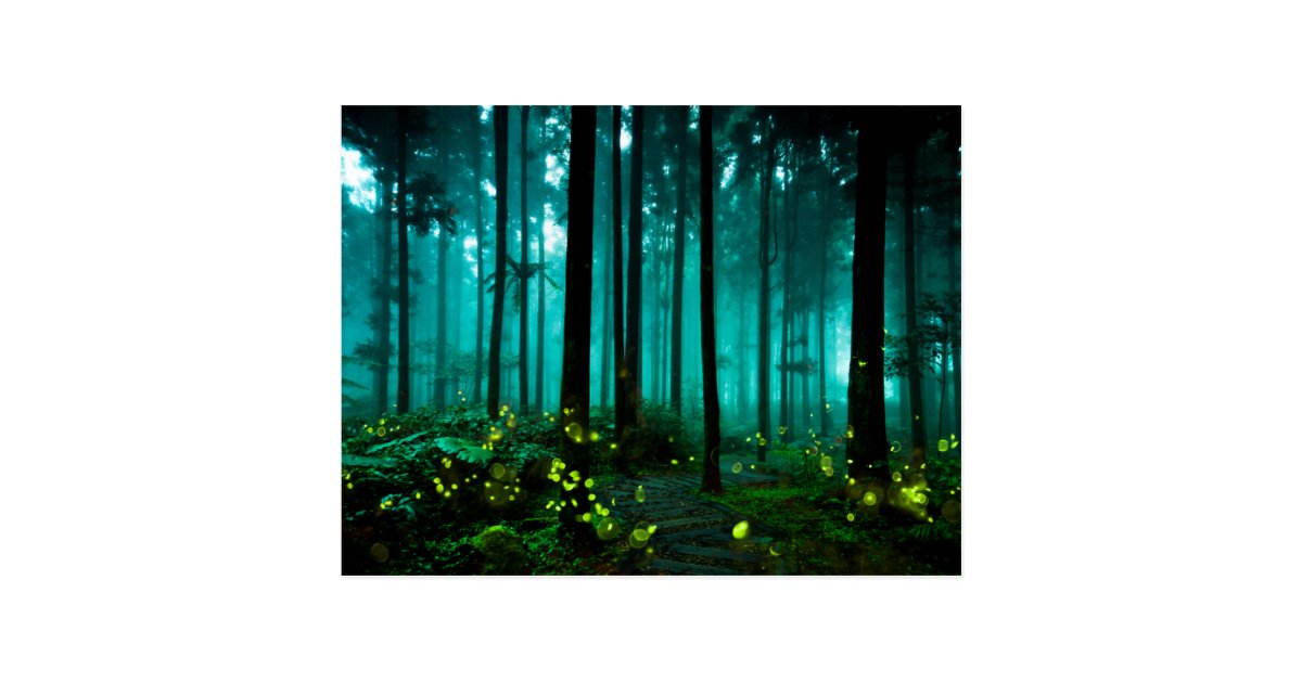 Firefly Postcard | Zazzle.com