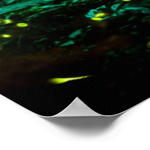 Firefly Poster | Zazzle