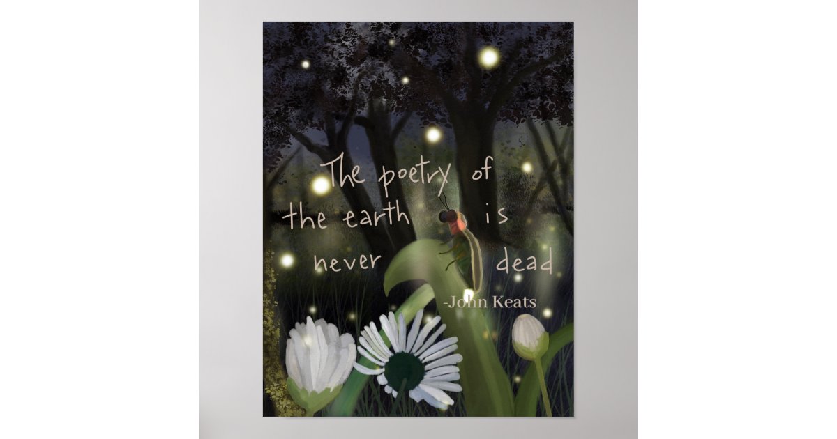 Firefly Sky Poster | Zazzle