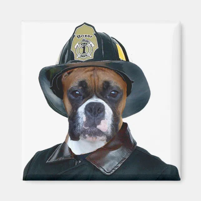 Fireman boxer dog magnet | Zazzle