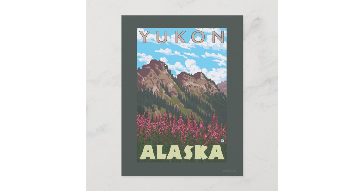 Fireweed & Mountains - Yukon, Alaska Postcard | Zazzle
