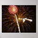 Fireworks display on Savannah River Poster | Zazzle