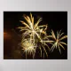 Fireworks Poster 19 | Zazzle