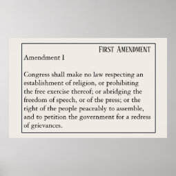 First Amendment Constitution Freedom of Speech Poster | Zazzle