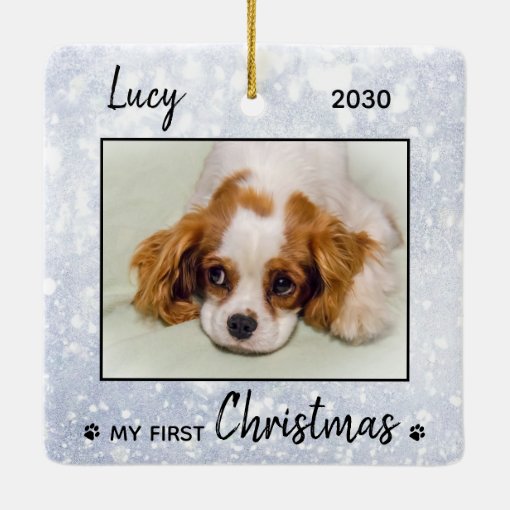 First Christmas Cute Puppy - Silver Dog Pet Photo Ceramic Ornament | Zazzle
