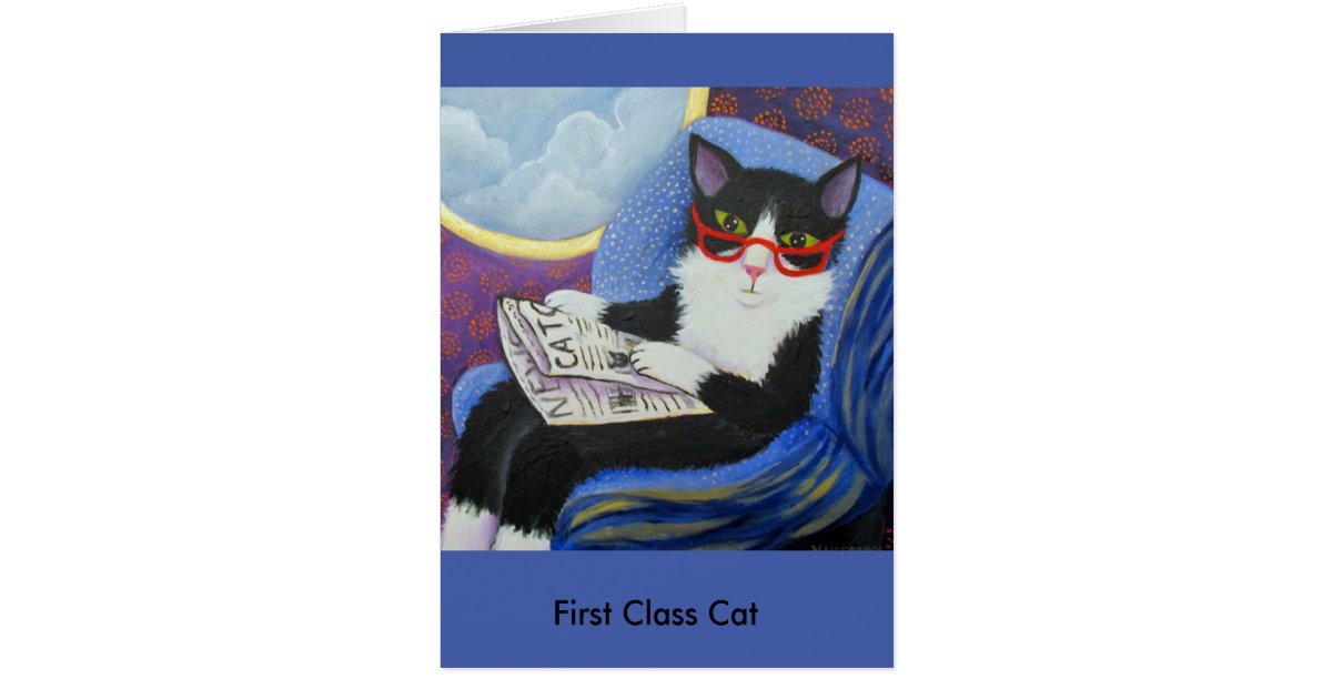 First Class Cat | Zazzle