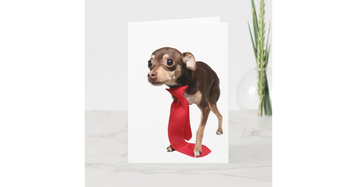 first day, new job card | Zazzle