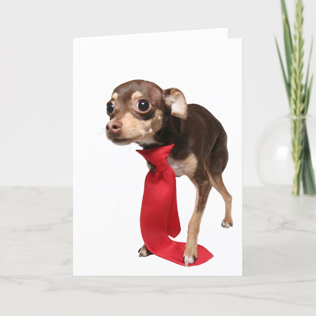 first day, new job card | Zazzle
