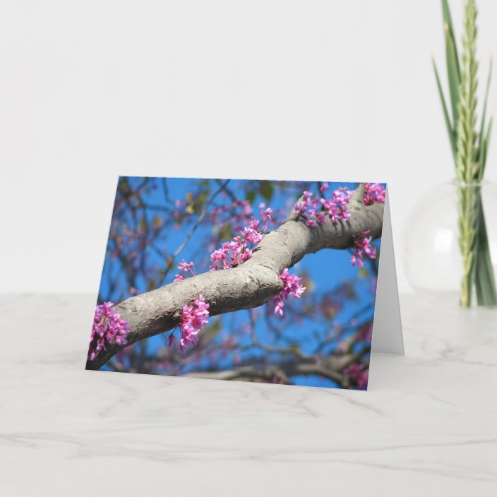 First Day of Spring Card | Zazzle.com