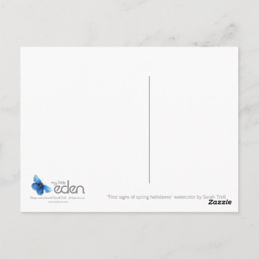 First signs of spring hellebores watercolor postcard | Zazzle