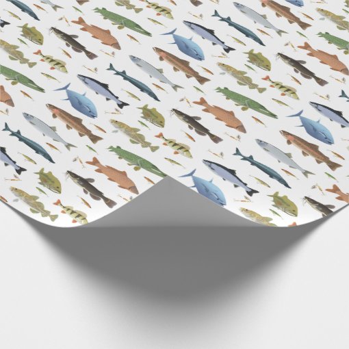 Fish and Baits Wrapping Paper | Zazzle