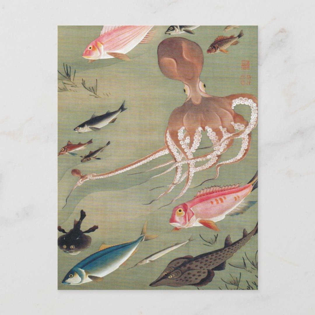 Fish and Octopus Marine Life Illustration Postcard | Zazzle