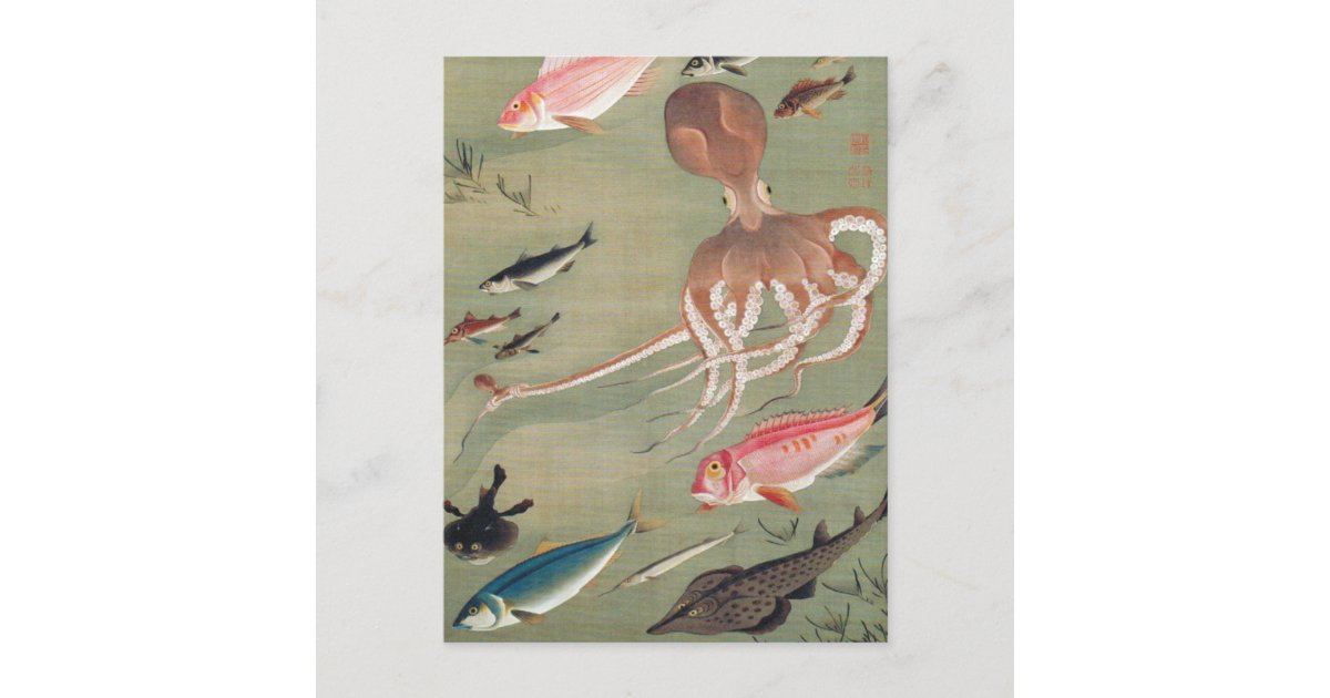 Fish and Octopus Marine Life Illustration Postcard | Zazzle