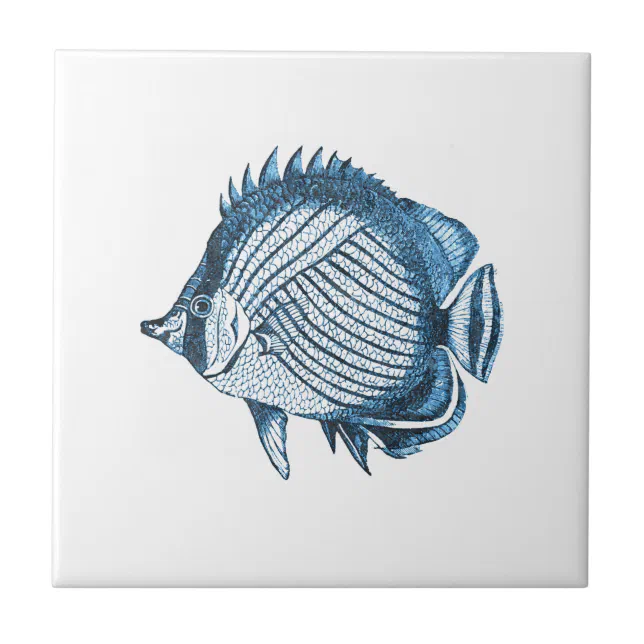 Fish beach nautical ocean coastal sea blue ceramic tile | Zazzle