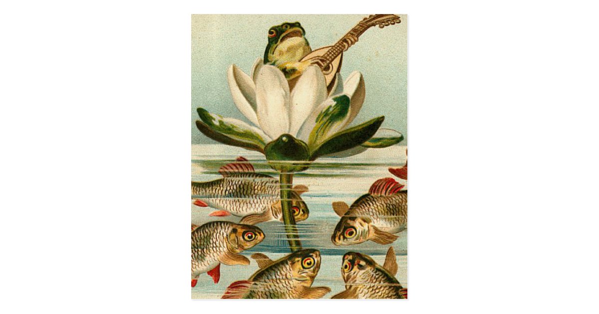 Fish Charmer Postcard | Zazzle.com