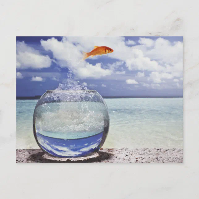 Fish jumping from fish tank postcard | Zazzle