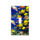 Fish Light Switch Cover | Zazzle