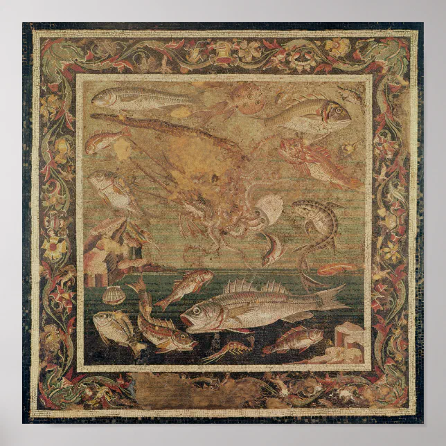 Fish, Molluscs and Crustacea Poster | Zazzle
