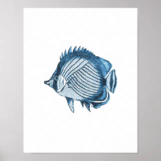 Fish nautical coastal ocean beach sea blue poster | Zazzle