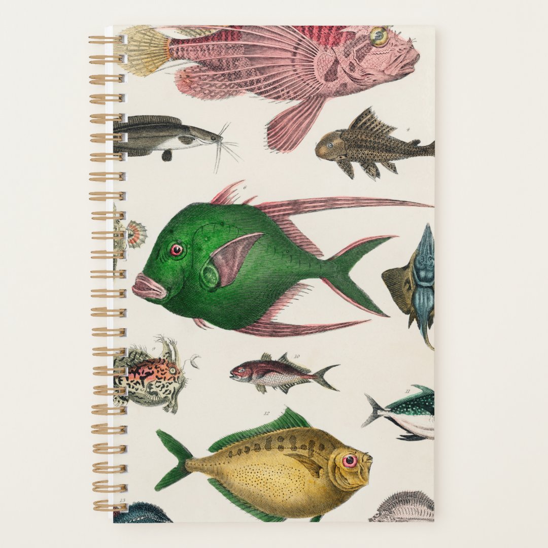 fish, ocean, cute, sea, water, animal, fishing planner | Zazzle