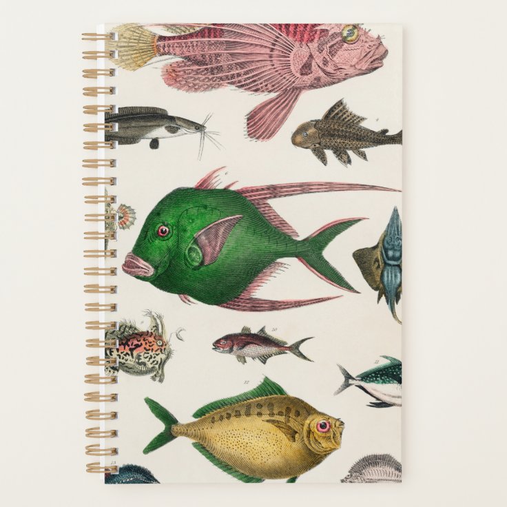 fish, ocean, cute, sea, water, animal, fishing planner | Zazzle