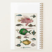 fish, ocean, cute, sea, water, animal, fishing planner | Zazzle