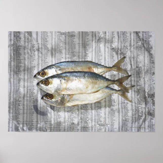 Fish on financial newspaper, elevated view poster | Zazzle
