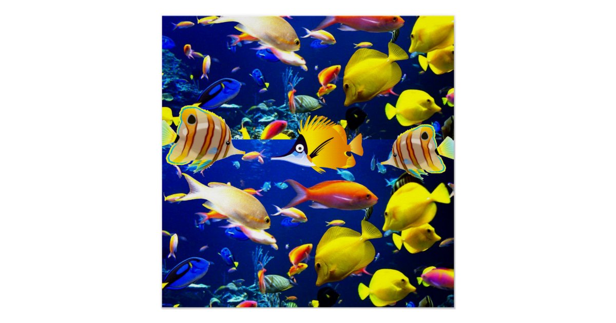 Fish Poster Beach House Posters | Zazzle