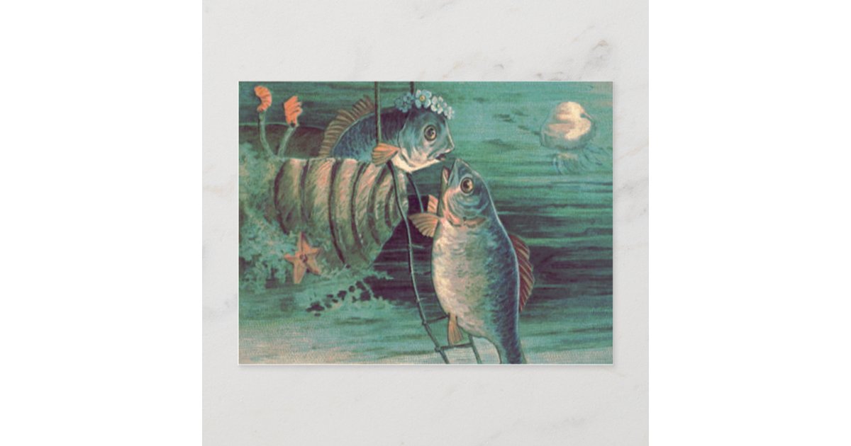 Fish Romeo & Juliet Jellyfish Starfish Postcard | Zazzle