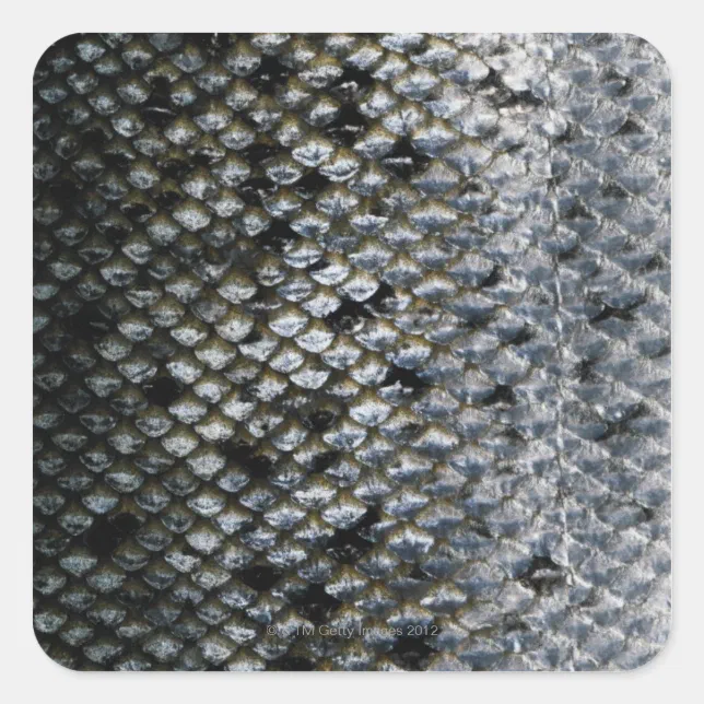 Fish Scales Square Sticker | Zazzle