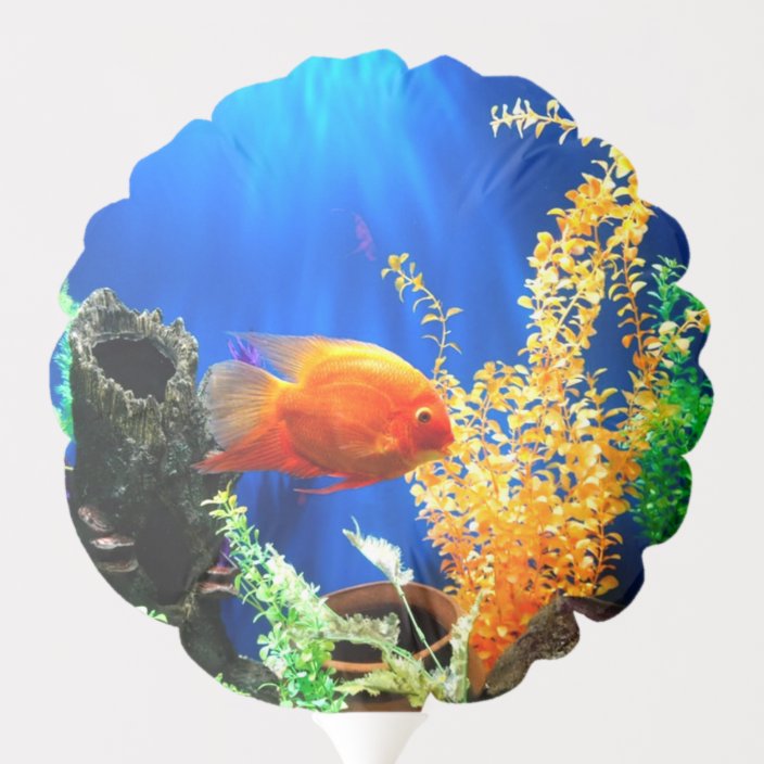 Fish tank aquarium balloon | Zazzle.com