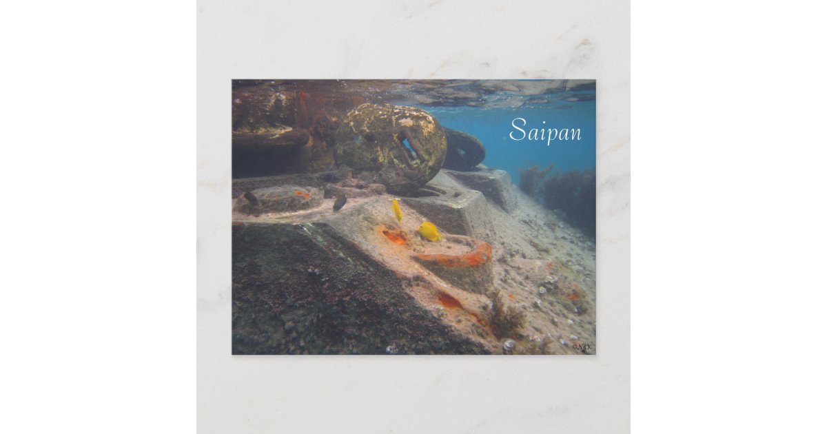 Fish Tank, Saipan Postcard | Zazzle