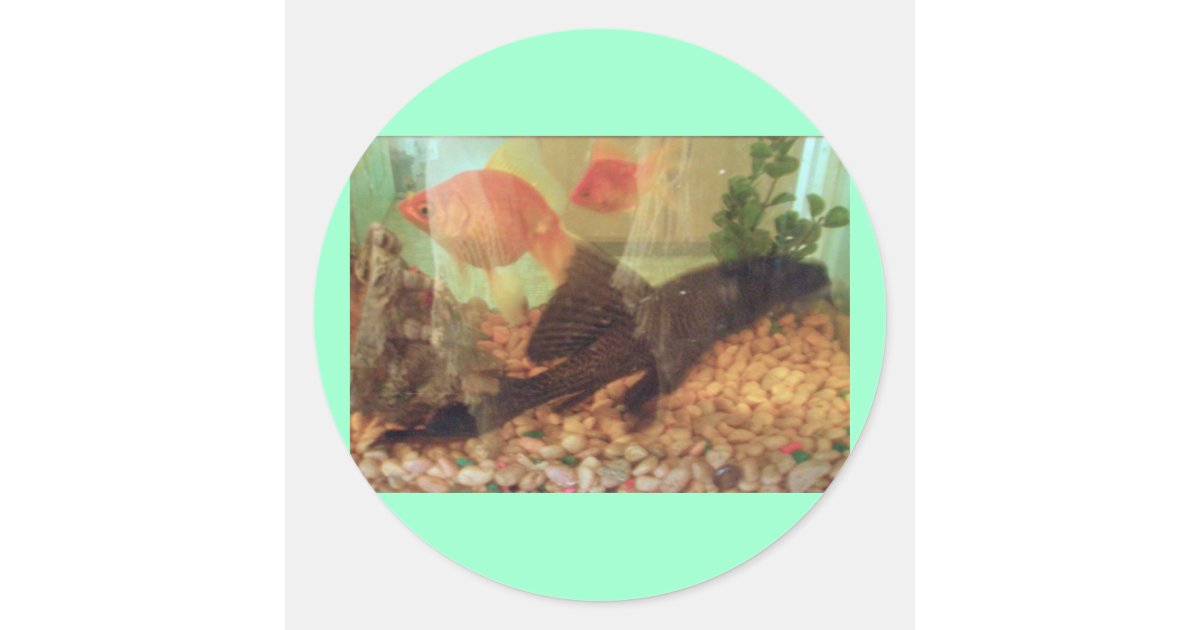 Fish Tank Sticker | Zazzle